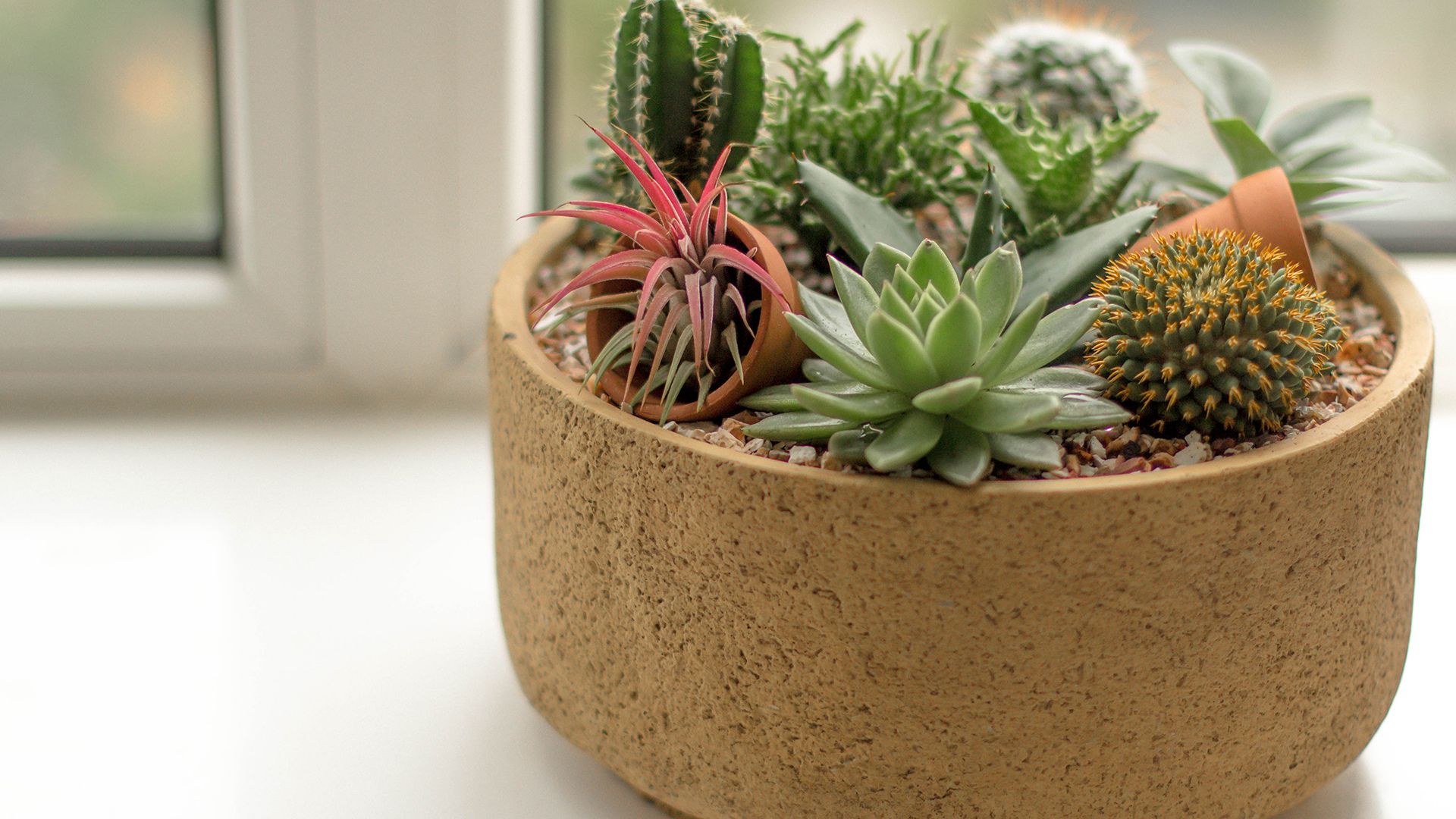 Een rotstuin op je balkon of terras? Het kan met deze tips!