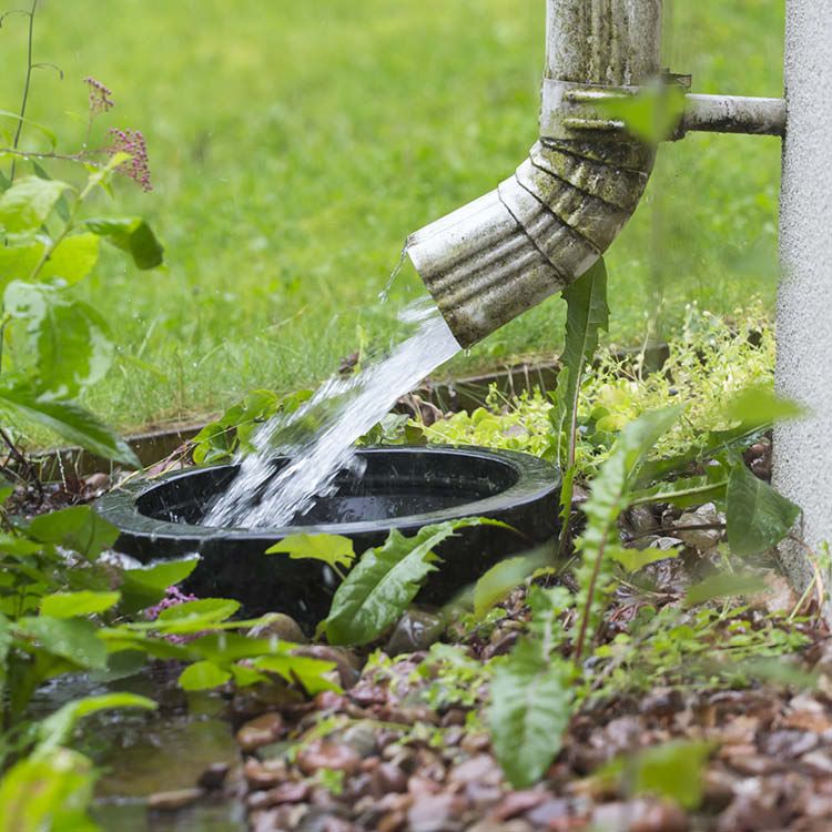 Duurzame wateropvang in de tuin: creëer een wadi!
