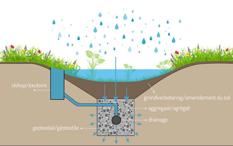 Collecte d'eau durable dans le jardin : créez une wadi