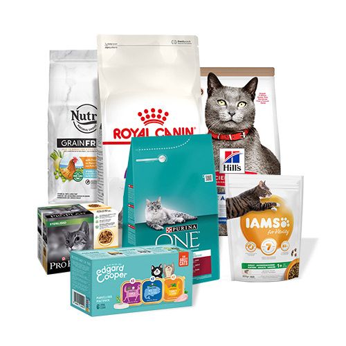 Voer en verzorging voor je kat: tips en tricks